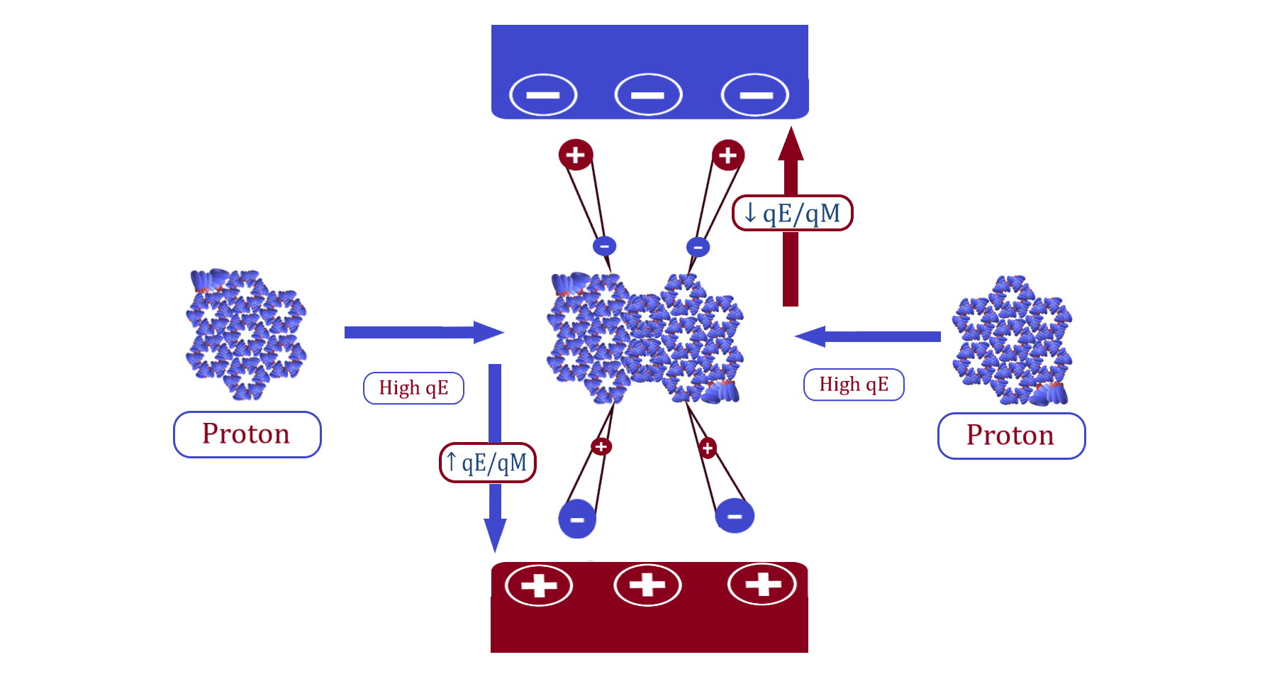 Introduction: Nucleus | SRCEAP
